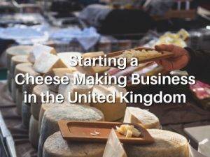 Starting a Cheese Making Business in the United Kingdom
