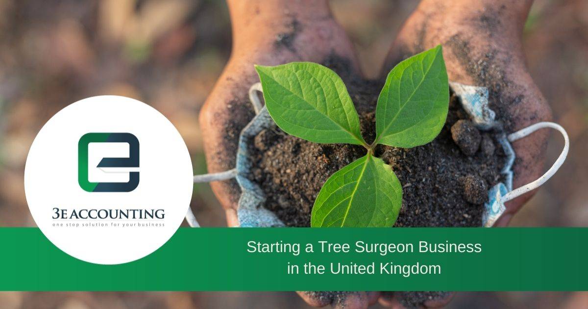 Starting a Tree Surgeon Business in the United Kingdom